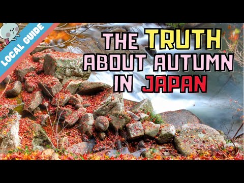 Things to do in JAPAN - Beyond Tokyo(東京): Find best Autumn Leaves(Koyo) in Okayama (岡山) #TravelJapan