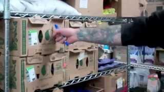 Production Clerk Overview | What is a production clerk? - Zippia