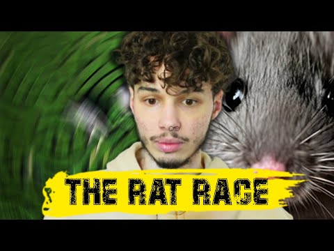 The Dark Truth Behind the Rat Race