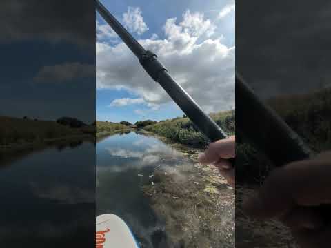 Paddleboarding SUP | Louth Canal | 29/06/2025