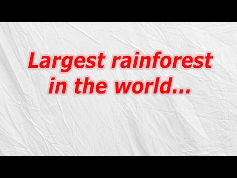 Largest rainforest in the world (CodyCross Crossword Answer)