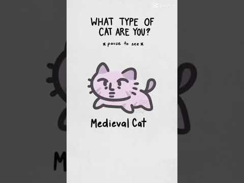What type of cat are you? #viral #trending #subscribe #funny #memes #views #watch #cat #pause