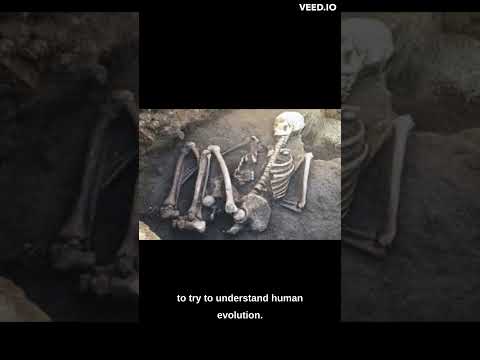 Ancestral Origin - #didyouknow