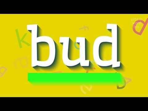 HOW TO PRONOUNCE BUD? #bud