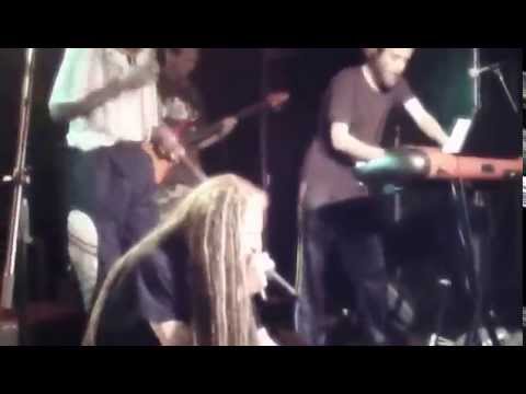 Dub heart reggae dub band mr kipps poole