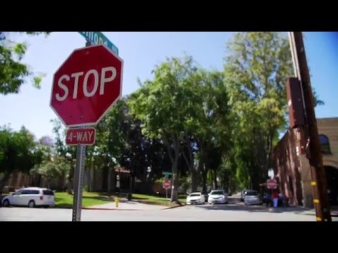 TD, Watch This! Debuting … | Total Devotion