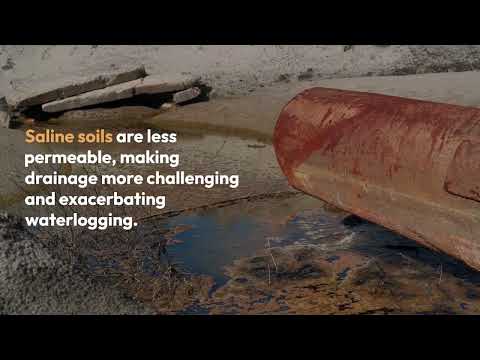Waterlogging and Salanity