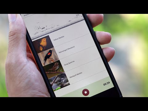 Merlin Bird ID app now identifies bird sounds