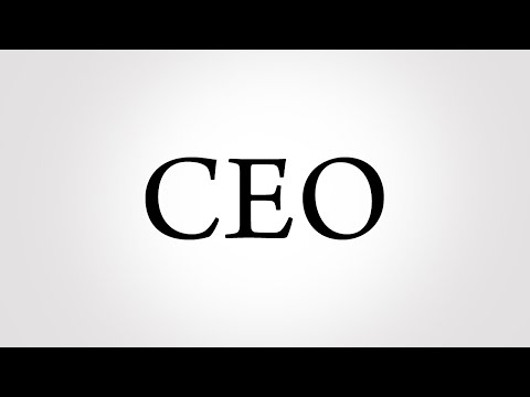 What does CEO stand for?