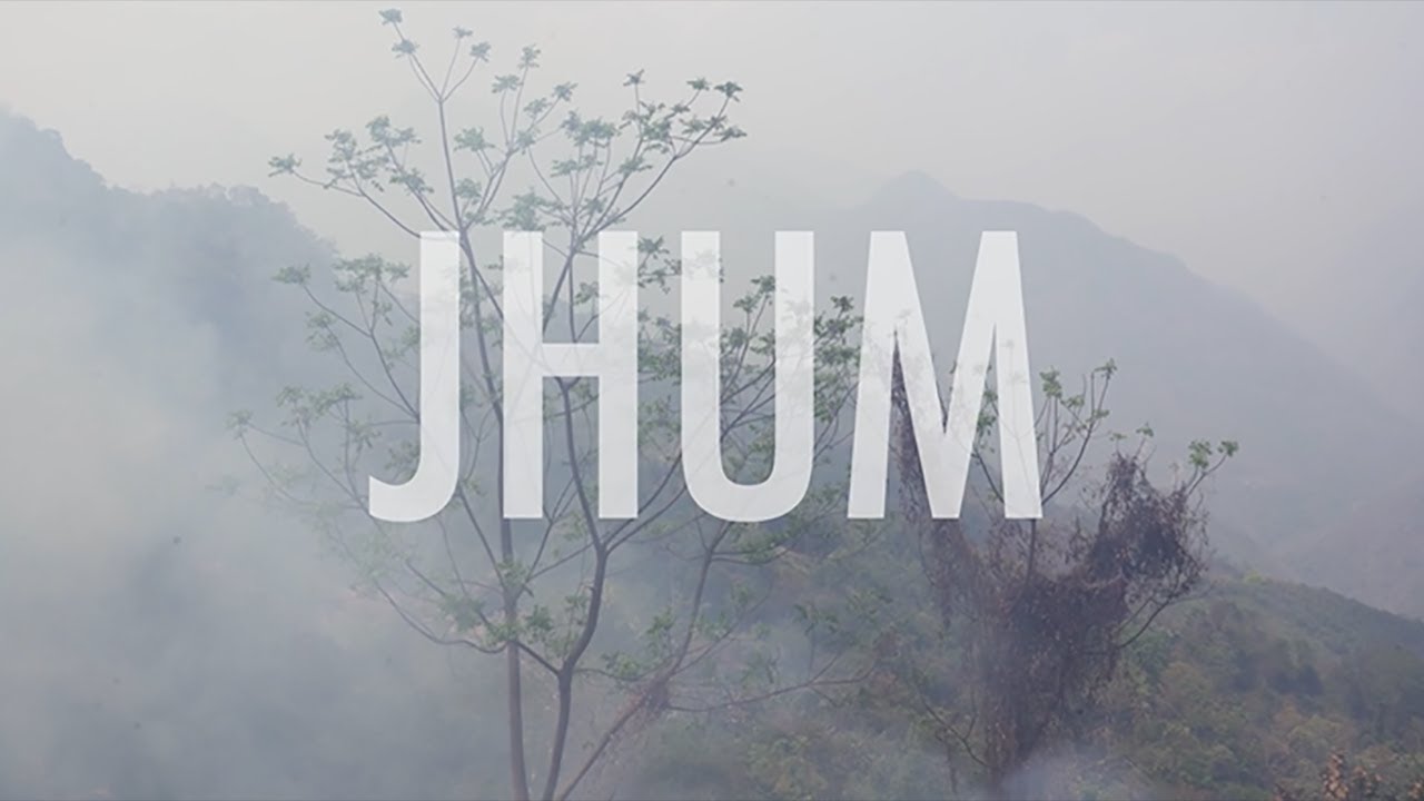 Rethinking Jhum: Naga researcher highlights its role in biodiversity ...