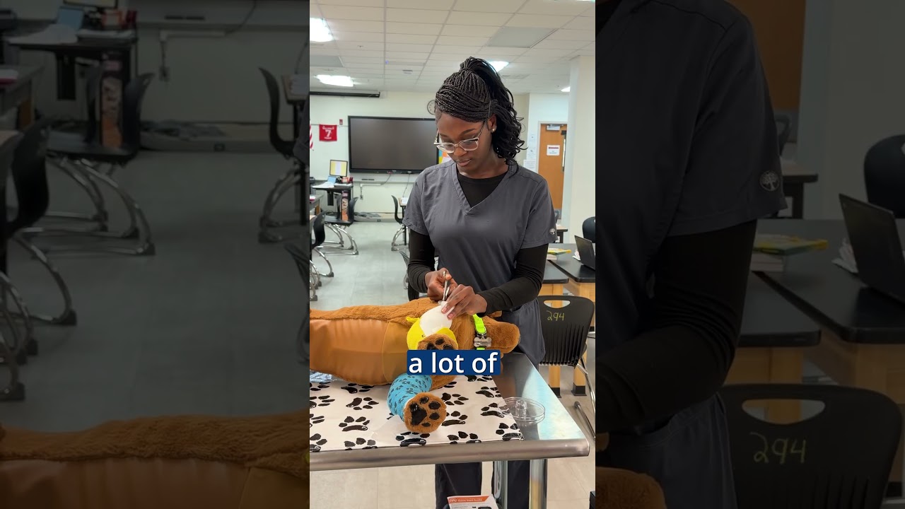 What's Going on Today? Veterinary Assisting