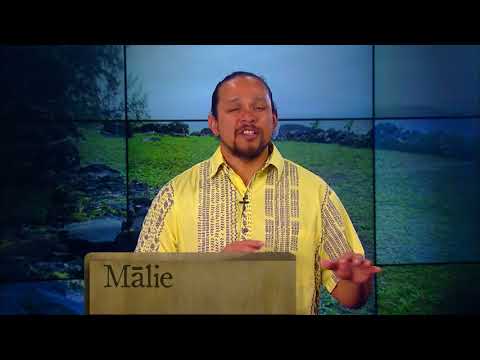 Hawaiian Word of the Day - Malie