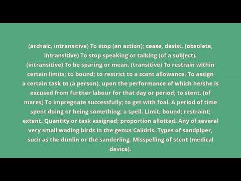 what is the meaning of stint