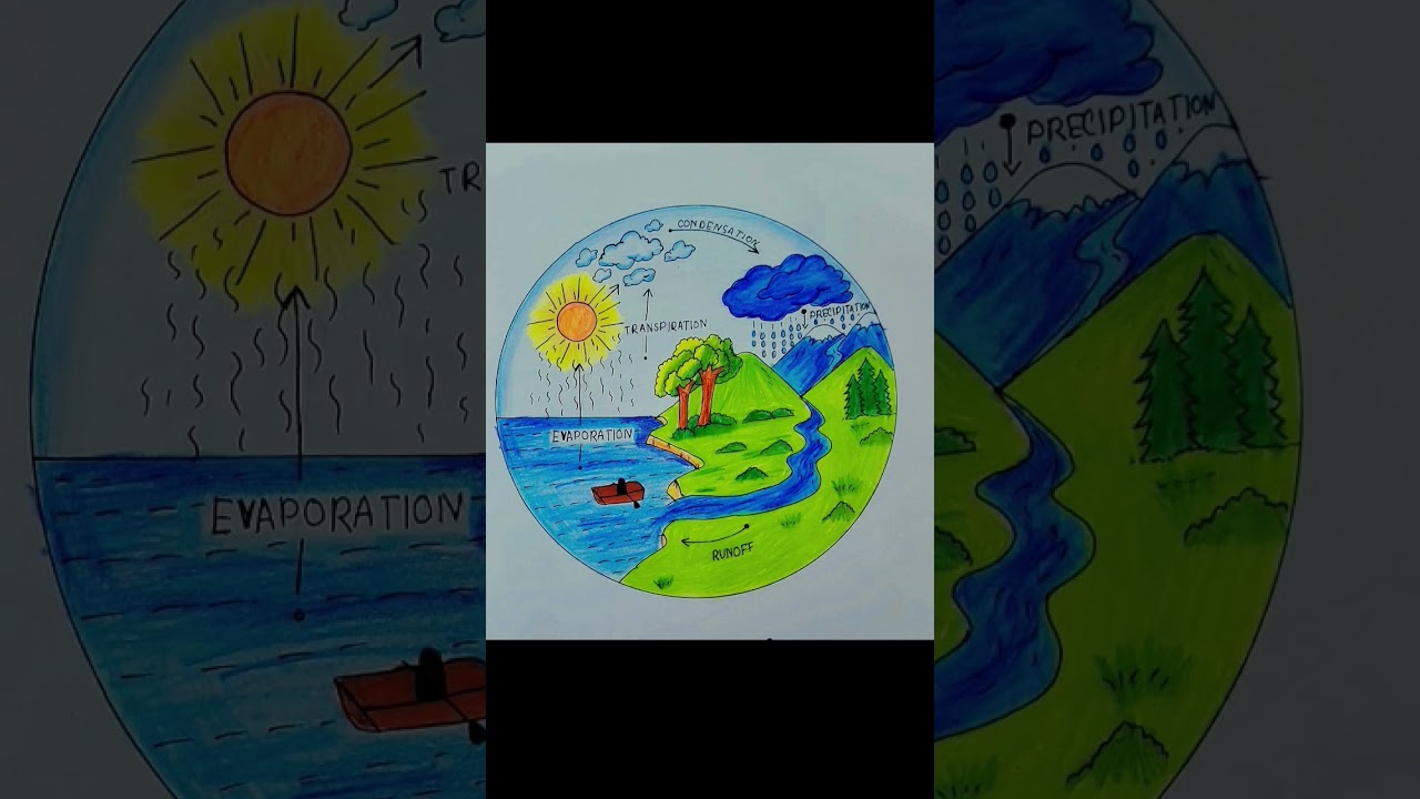 Amazing Diagram Of A Water Cycle Model