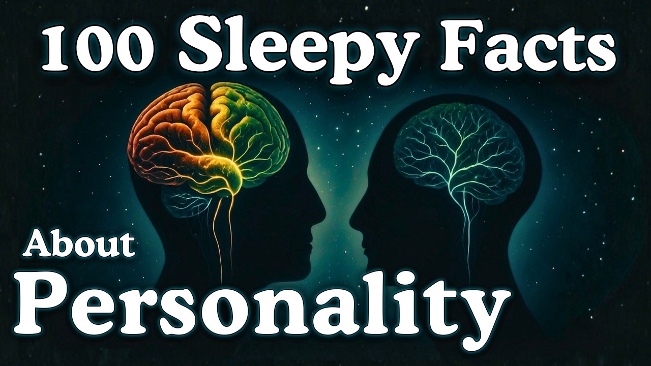 The Most Relaxing Facts About Personality to Fall Asleep To