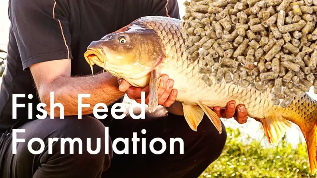 AQUA | Feed Formulation | 2022-2023