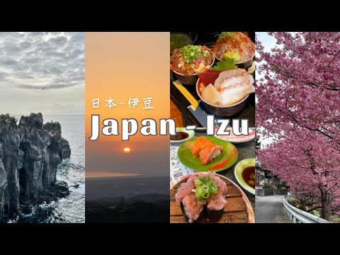 A visit to Izu Japan! | Cherry blossom hunt | “Your name” scene!! 日本伊豆小众游!《你的名字》里的陨石坑!