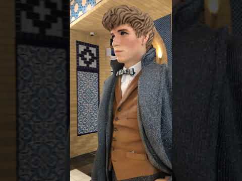 Newt Scamander-Fantastic Beasts: The Crimes of Grindelwald #shorts