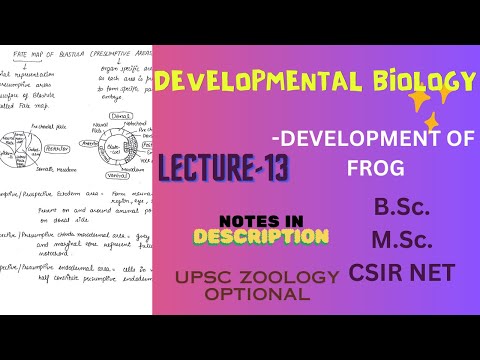 Development of FROG | B.Sc. | UPSC Zoology Optional | Notes in description.