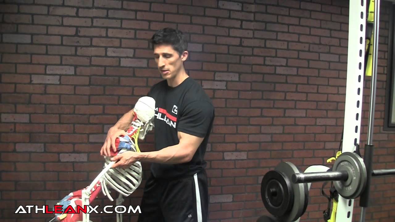 Barbell Bent Row Test (RIGHT vs WRONG!)
