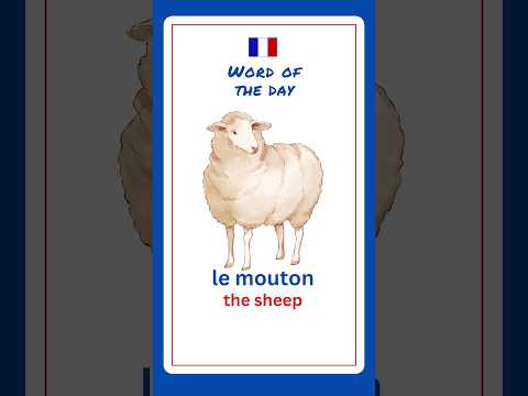 How To Say Sheep In French | French For Beginners