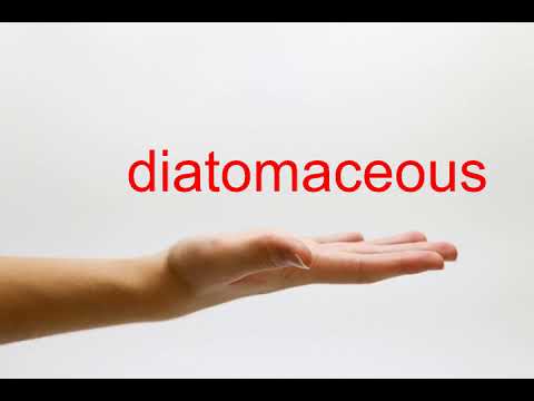 How to Pronounce diatomaceous - American English