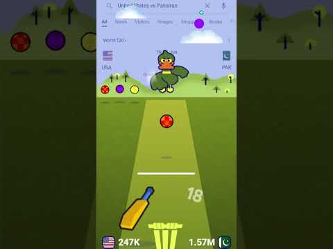Google Mini Cup 2024 Pak vs USA #worldcup #2024 #t20worldcup #cricket
