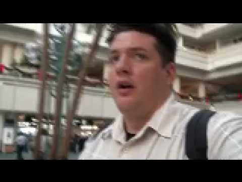 Discount Rental Cars In Orlando Dollar