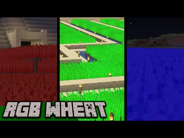RGB Wheat | 1.16.5 Compatible! Minecraft Texture Pack