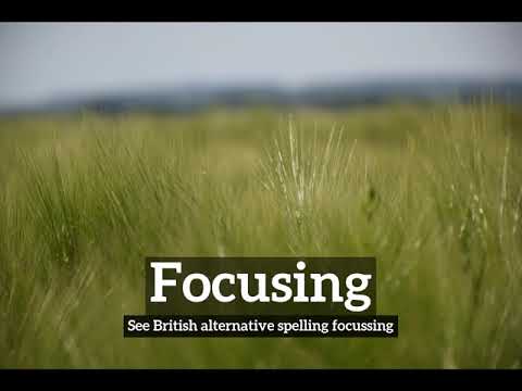 What is Focusing? | How Does Focusing Look? | How to Say Focusing in English?