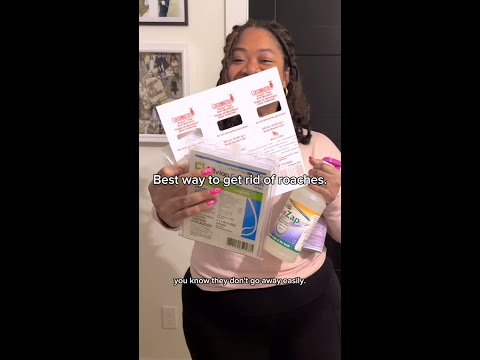 Roach-Free for Good: Ultimate Kit That Actually Works
