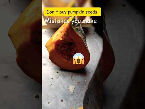 pumpkin seeds mistakes you make 😠#shortsfeed