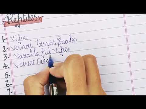 LESSON # 74 what animal starts with the letter V||animal name with V||V letter animal name||