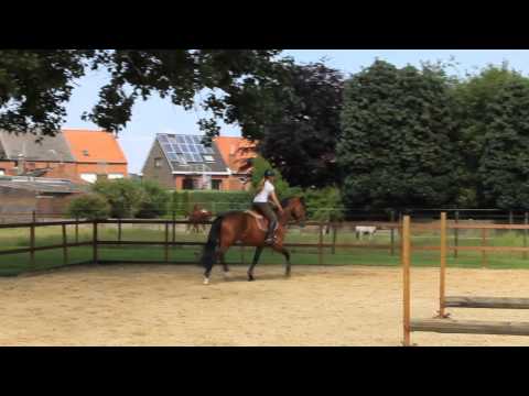 Just for you (winningmood x skippy 2) proberen 2