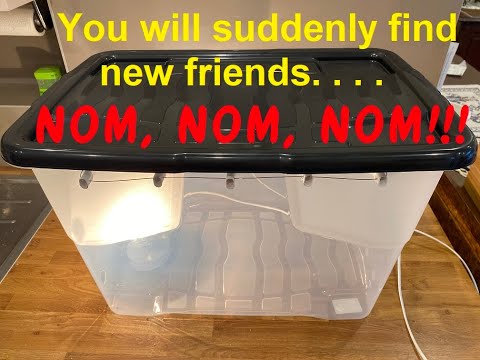 Making a Biltong Dryer Box - Simple and full instructions