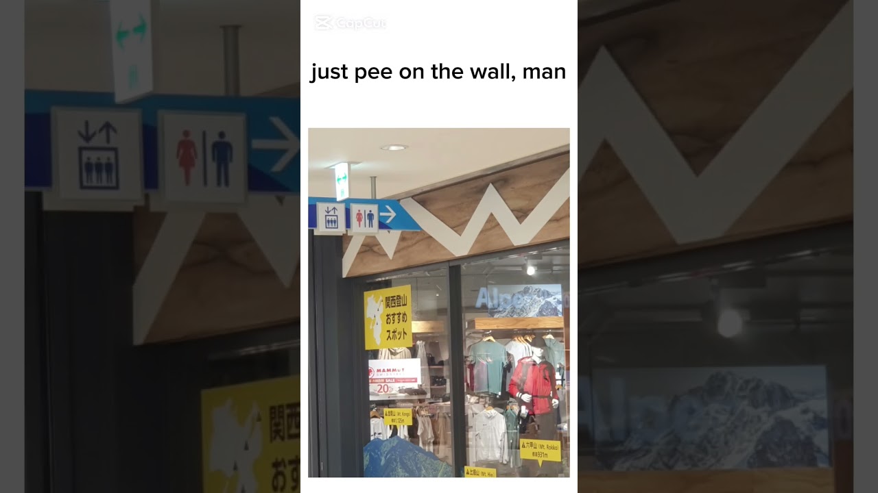 just pee on the wall #memes #related