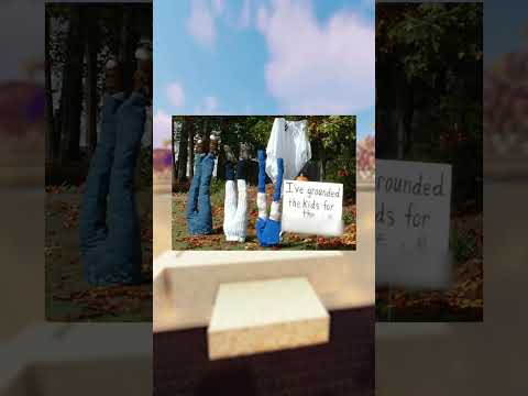 Funny Signs