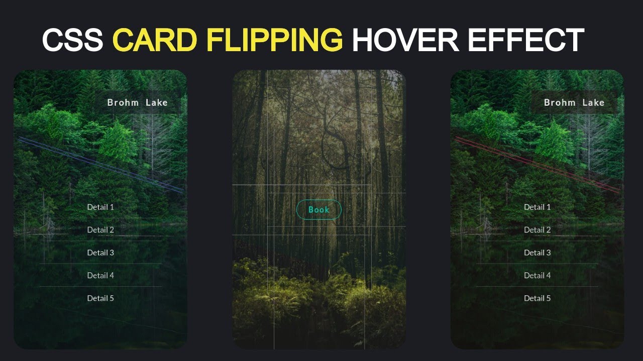 Card Hover Effect | 3D Flip Card Effect on Hover using HTML & CSS