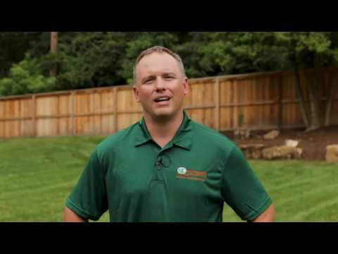 Lawn Aeration, Seeding & Fertilization Steps : Lawn Care Plus
