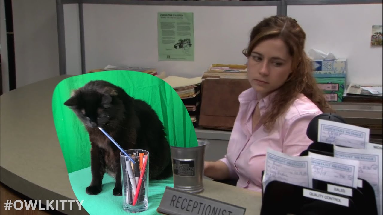 The Office - OwlKitty (Behind The Scenes)