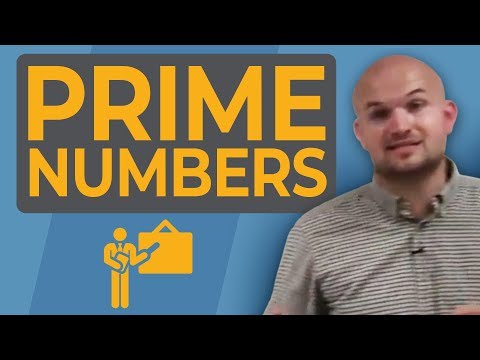 What are Prime numbers and provide examples