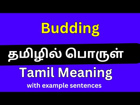 Budding meaning in Tamil/Budding தமிழில் பொருள்