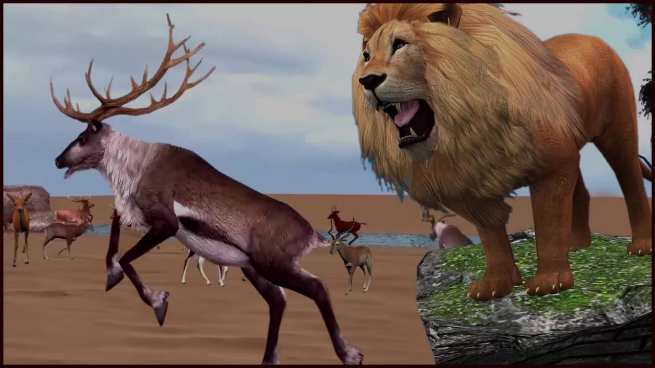 Dreri Dhe Luani Përralla Për Fëmij