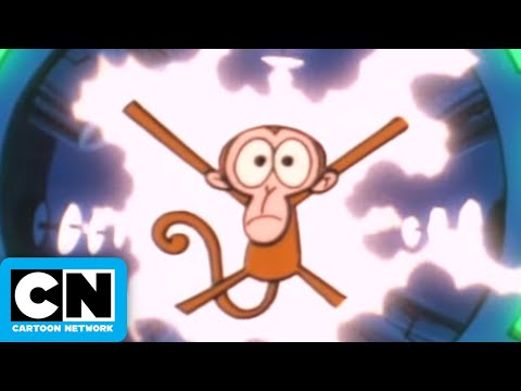 Theme Song | Dial M for Monkey | Cartoon Network