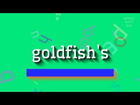 How to say "goldfish's"! (High Quality Voices)