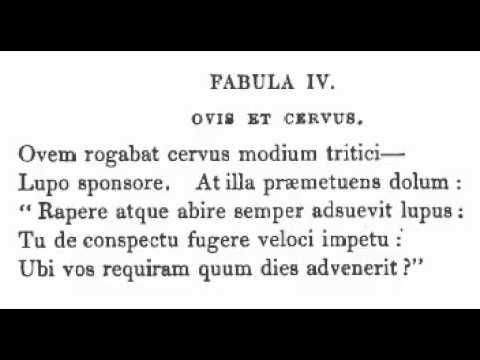 Jacobs_043_Fabula IV ex Phaedro Excerpta Aesop Fable Latin Sheep Stag.avi