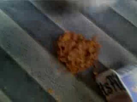 Lesser Spotted Chocolate Cluster Documentary