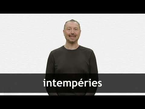 English Translation of “INTEMPÉRIES” | Collins French-English Dictionary