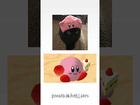 #pfp #discord #cats join server