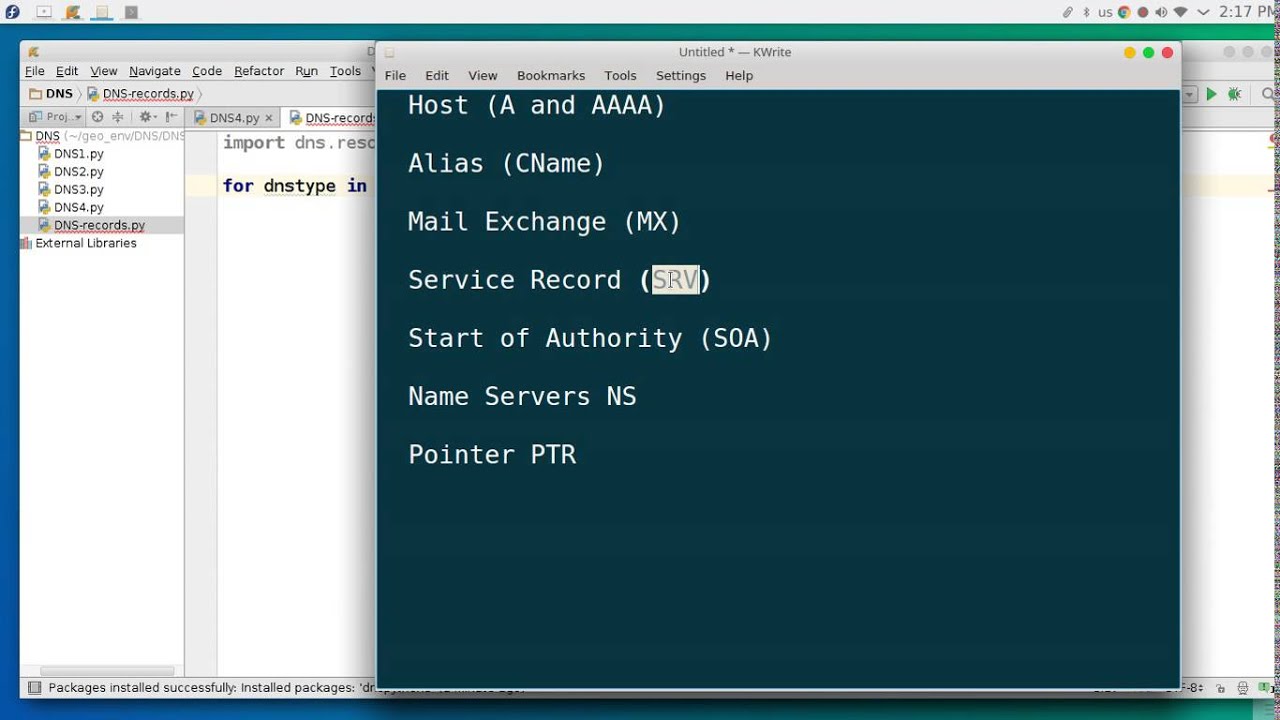 50  Python network programming DNS